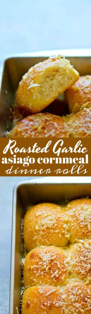 Roasted Garlic Asiago Cornmeal Dinner Rolls